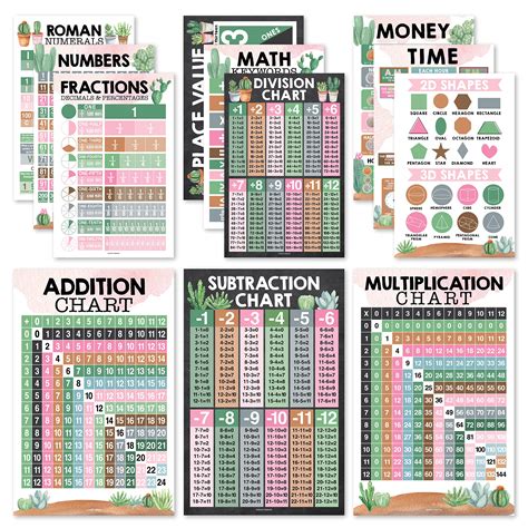 Buy Cactus Math S For Elementary School S For Classroom Math