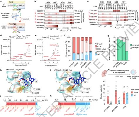 Nature｜“剪刀定制”新时代：用机器学习精准设计pam特异性cas9酶 Py学习