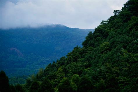 雨后的成都彭州前山的清晰和后山的雾 瓜猫 富士中国极致影像 FUJIFILM