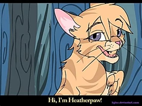 Коты Воители — Видео от Коты Воители Племя Утренней Росы Ролевая ВКонтакте