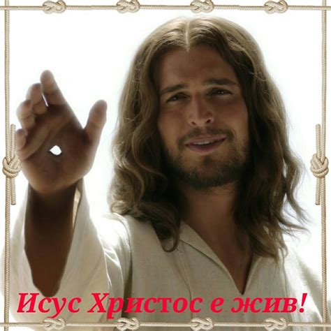 Скъпи братя и сестри нека Най малките братя на Царят Facebook