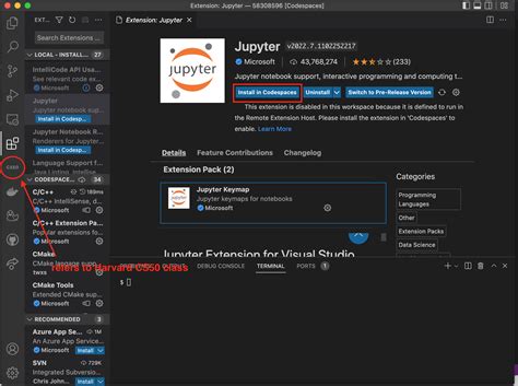 Installation Of The Official Jupyter Extension For Visual Studio Code