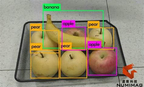 果蔬识别检测系统 虚数科技numimag
