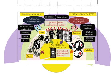 A New Field Of Multidisciplinary Computational Anatomy A Variety Of Download Scientific