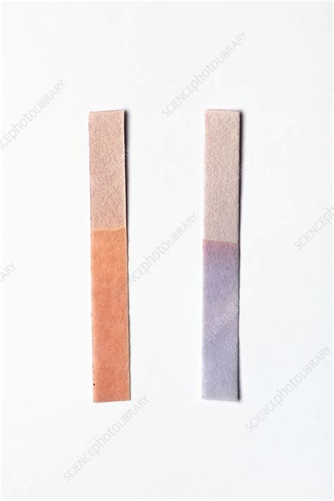 Neutral Litmus Paper Indicator Stock Image C Science
