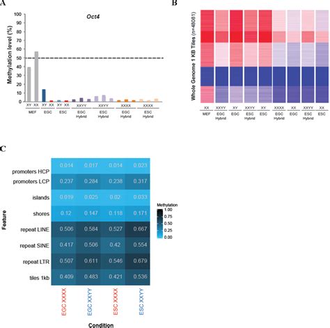 Figure 2 1 From Dissecting Molecular Similarities And Differences Between Pluripotent Stem Cell