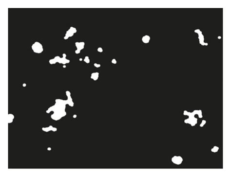 Segmentation Foreground Renderings A Original Image B Standard Download Scientific