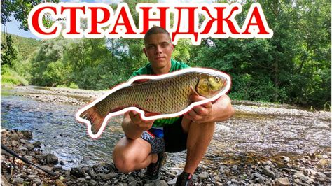 ЗА РИБА в СТРАНДЖА Youtube