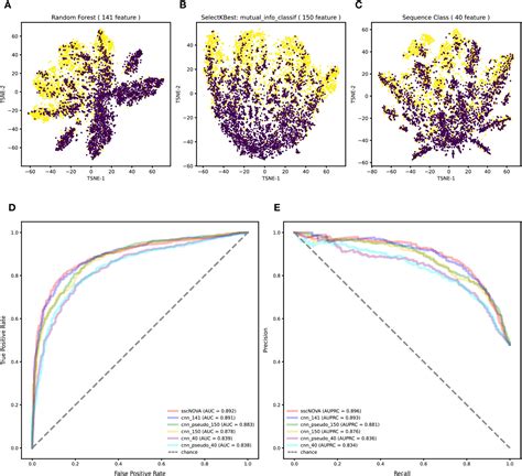 Frontiers Sscnova A Semi Supervised Convolutional Neural Network For