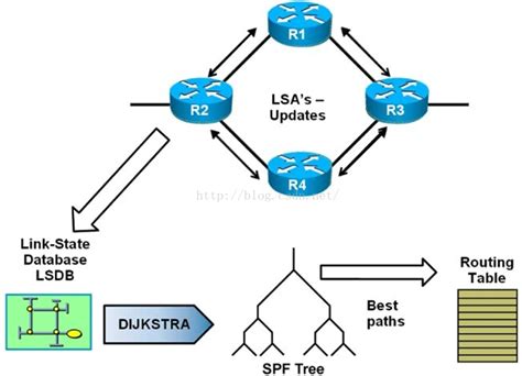 理解ospf路由协议：原理与配置 Csdn博客