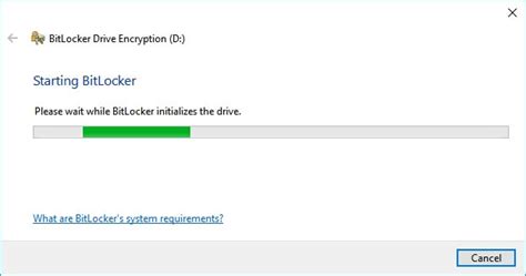 When Enabling BitLocker On A Device Windows Encrypts The Data Stored On It Allowing Only