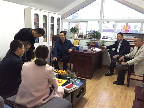 热烈欢迎区委组织部来我校指导党建工作六安九章教育