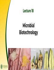 Exploring Microbial Biotechnology Applications And Innovations Course Hero