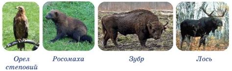 Збереження біорізноманіття України Пізнаємо природу 5 клас Мідак