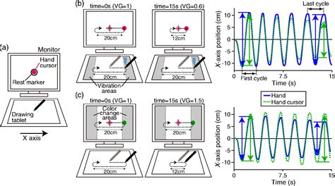 Prefrontal Activity Predicts Individual Differences In Optimal