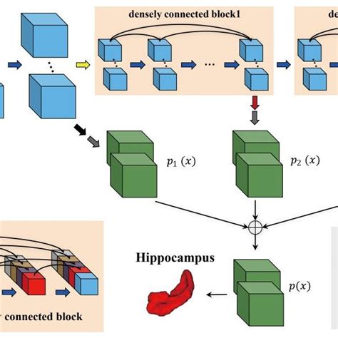 Architecture Of Our Proposed 3d Densely Connected Fully Convolutional Download Scientific