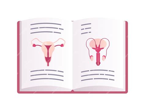 성적 책 인간 생물학 및 해부학 수업 성교육 정신적 육체적 건강 피임 및 여성 생식 기관 자궁 난소 성적 및 성별 개념 벡터 일러스트 레이 션 프리미엄 벡터