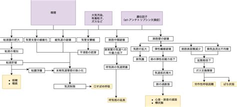 慢性閉塞性肺疾患COPD chronic obstructive pulmonary disease ヒトとく