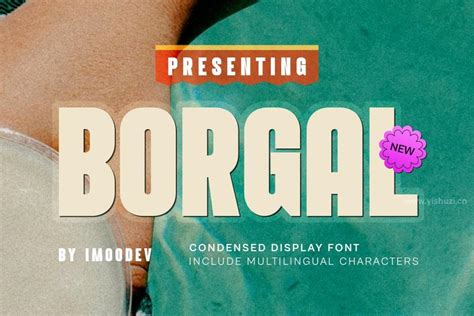 美式复古风格的英文粗体无衬线字体 Borgal 艺字网