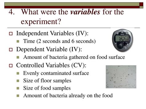 Ppt The Five Second Rule Powerpoint Presentation Free Download Id