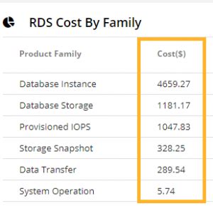 Analyze AWS RDS Cost By Family To Achieve Maximum Cloud Visibility Blogs Centilytics
