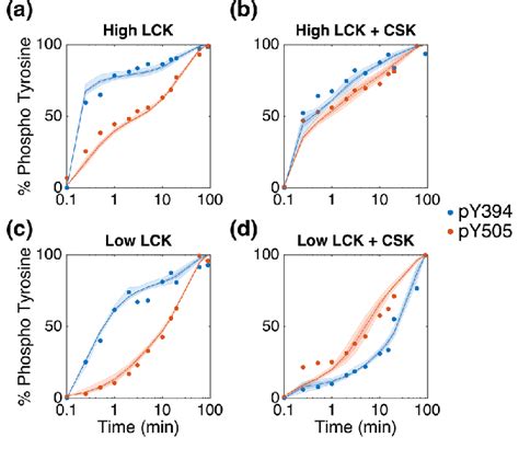 Model Fit To Experimental Data The Model Is Able To Fit Experimental Download Scientific