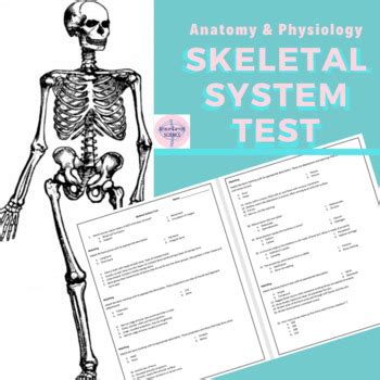 Skeletal System Test By Grace Carroll SCIENCE TPT