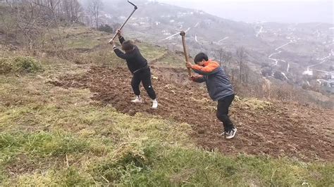 姐姐一家来帮忙挖地，今天一早就带姐夫去干活，感谢姐夫帮忙【凉山小弟】 Youtube