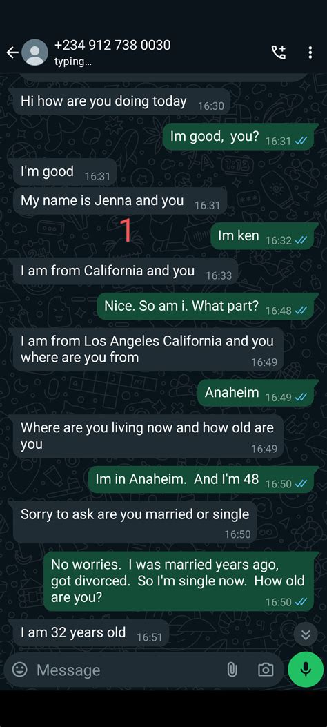 A Nigerian Romance Scam Rscambait