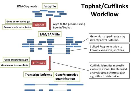 rnaseq experiment design