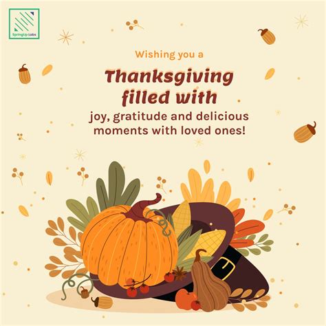 Springup Labs Posted On Linkedin