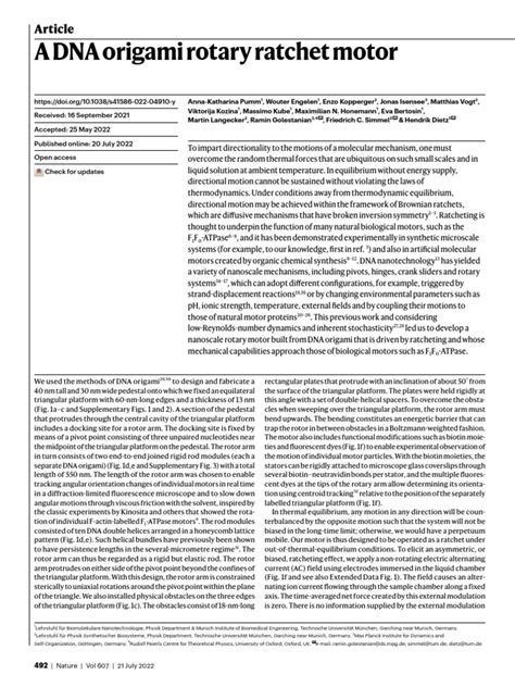 A Dna Rotatory Ratched Motor Pdf Rotation Around A Fixed Axis Electric Motor