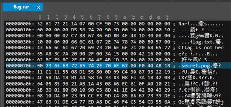 bugku ——杂项 flag txt csdn博客