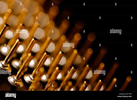 A Stock Photograph Of CPU In Macro Detail Stock Photo Alamy