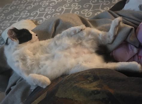 Draw Me Like One Of Your French Girls Scrolller Draw Me Like One Of Your French Girls Scrolller