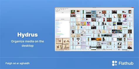 Suiteáil Hydrus Ar Linux Flathub