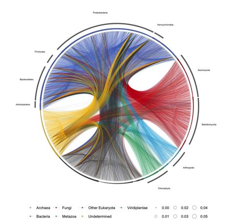 Reconstructed Interaction Network Of The Ecological Community Lines