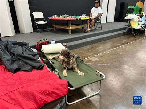 အမေရိကန်နိုင်ငံ ဟာဝိုင်အီပြည်နယ်၌ တောမီးလောင်ကျွမ်းမှုကြောင့် သေဆုံးသူဦးရေ ၁၀၀ကျော်ရှိ