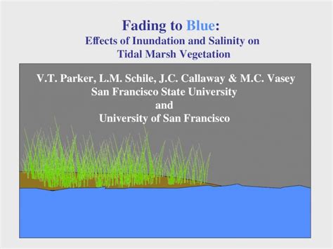 Ppt Fading To Blue Effects Of Inundation And Salinity On Tidal