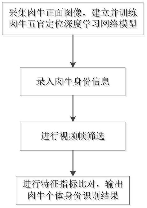 一种基于深度学习目标检测技术的肉牛身份识别方法与流程
