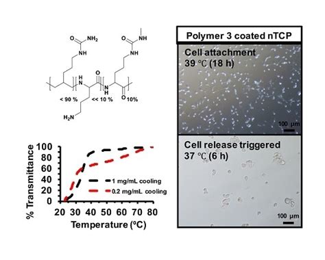Materials Special Issue Temperature Responsive Polymers