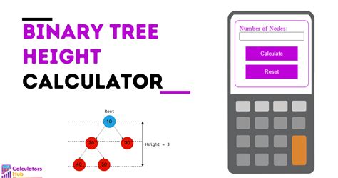 Calculateur De Hauteur Darbre Binaire En Ligne