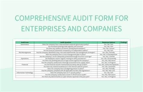 Comprehensive Audit Form For Enterprises And Companies Excel Template