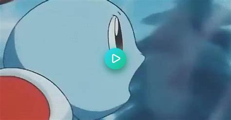 Squirtle Album On Imgur