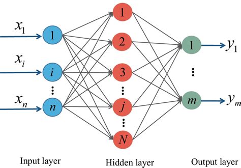 Schematic Diagram Of Neural Network Download Scientific Diagram
