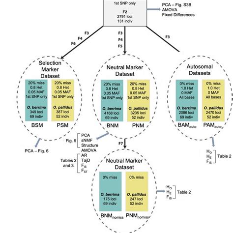 Schematic Of Filtering And Processing Steps For Nuclear Dataset Single Download Scientific