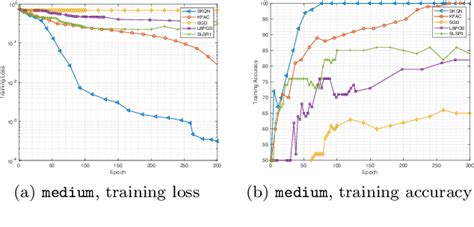 Structured Stochastic Quasi Newton Methods For Large Scale Optimization