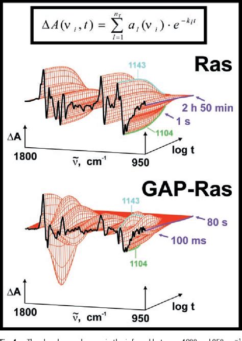 Figure 1 From Monitoring The Gap Catalyzed H Ras Gtpase Reaction At