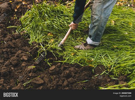 Man Digging Garden Image Photo Free Trial Bigstock
