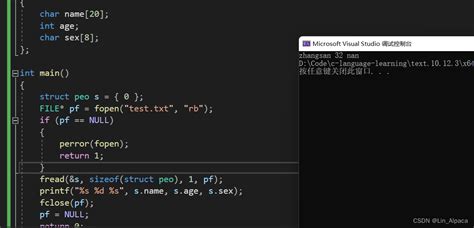 c语言文件操作的基础应用（超详细） fwrite ab csdn博客
